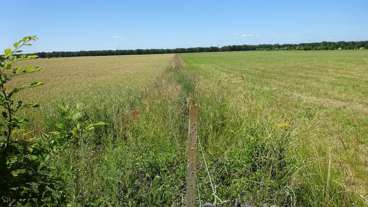 Bourges vise une agriculture de conservation en zéro glyphosate ...
